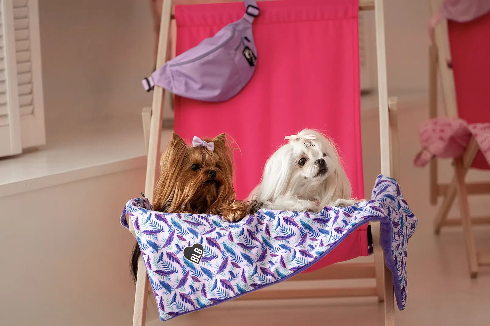 Smycze, obroże i szelki dla psa i kota